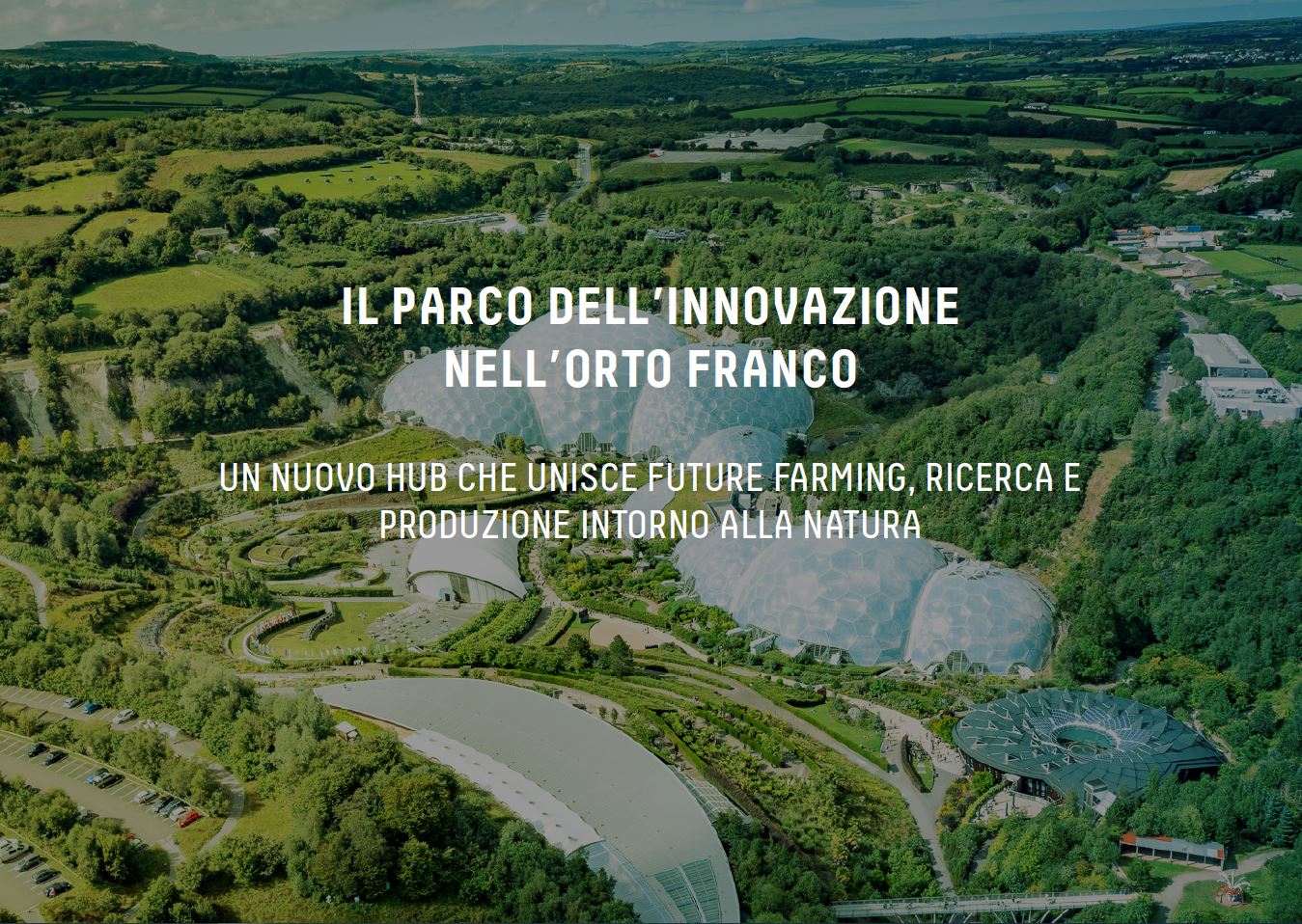 Nuova vita per l'area delle Noghere con agricoltura verticale e Orto ...